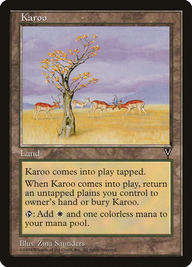 401 Games Canada - Karoo (VIS)
