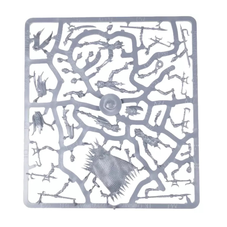 401 Games Canada - Kings of War - Twilight Kin - Corsairs Regiment