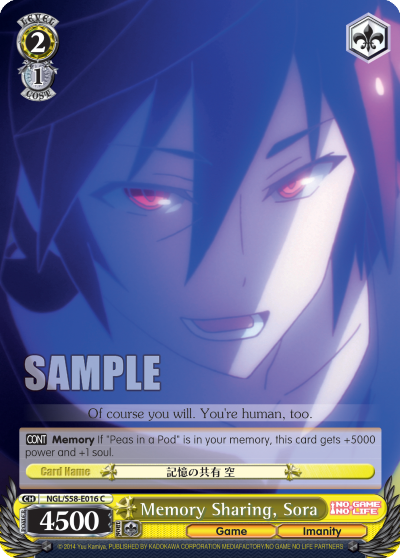 401 Games Canada - Memory Sharing, Sora - NGL/S58-E016C - Common