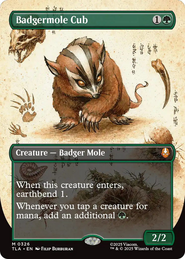 401 Games Canada - Badgermole Cub - Borderless Field Notes (TLA)