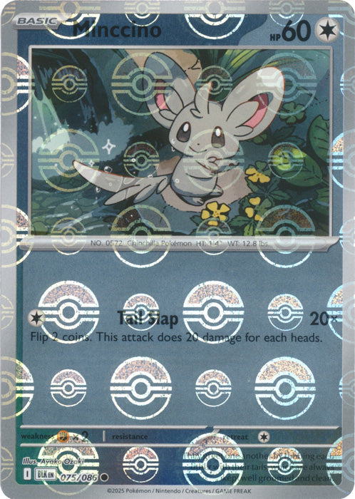 401 Games Canada - Minccino (Poke Ball Pattern) - 075/086 - Common
